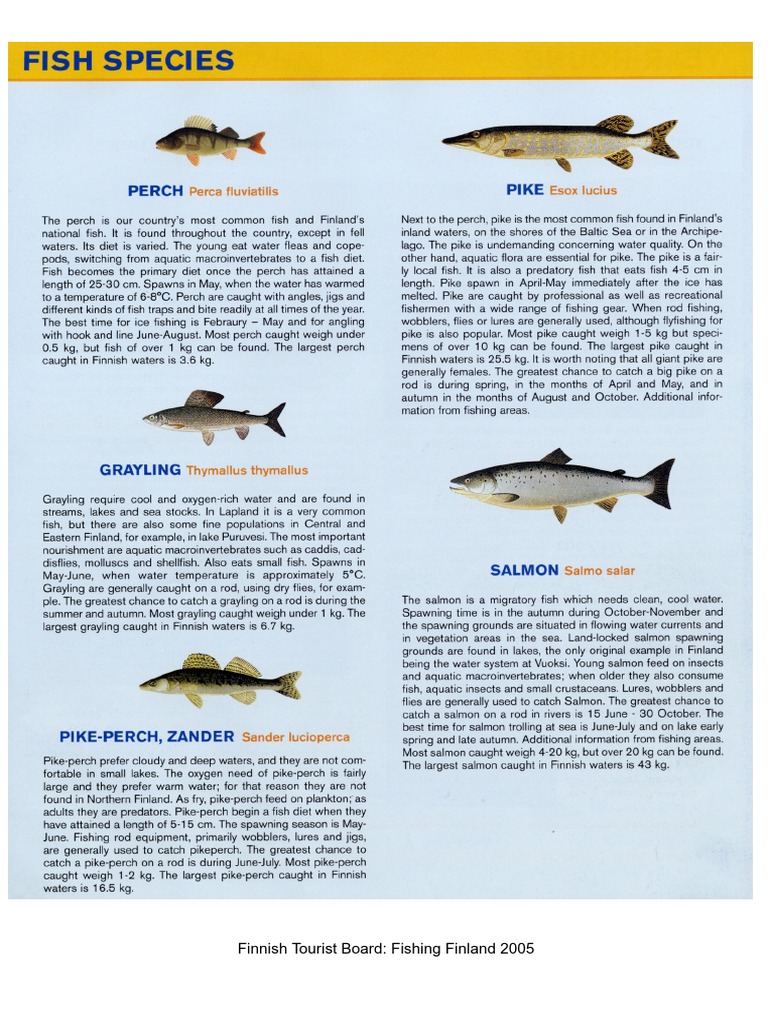 Finnish Tourist Board: Fishing Finland 2005 | PDF