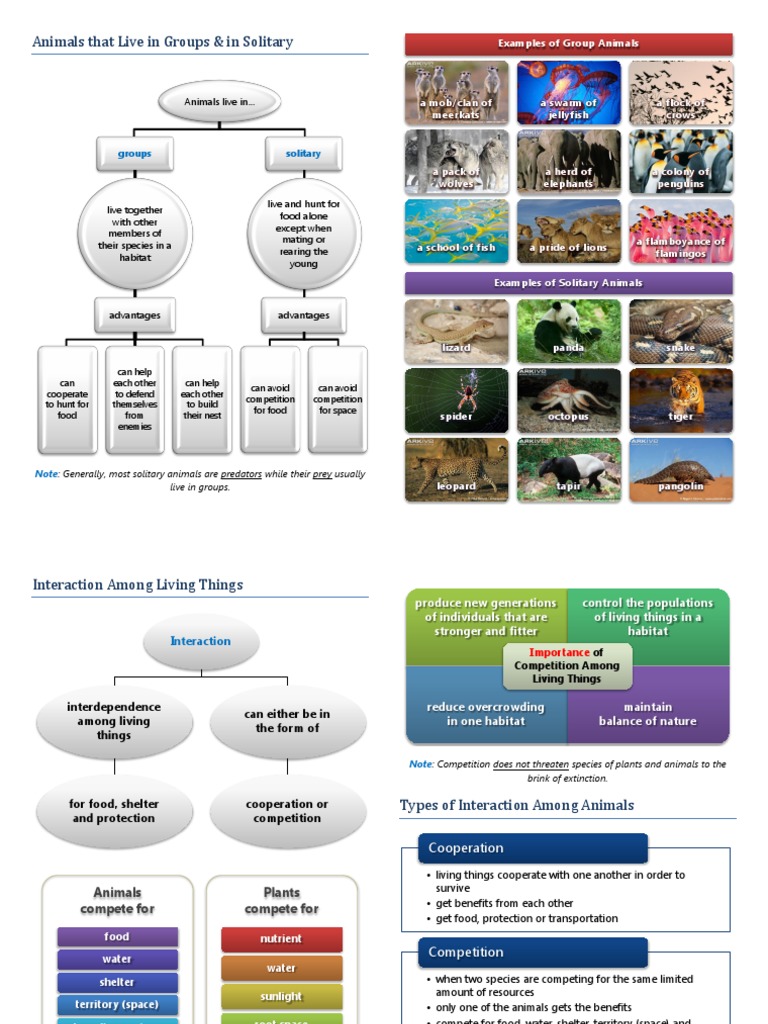Science Notes Year 6 - Unit 1 Interaction Among Living Things.pdf ...