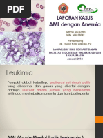 Anemia Normositik Normokrom | PDF