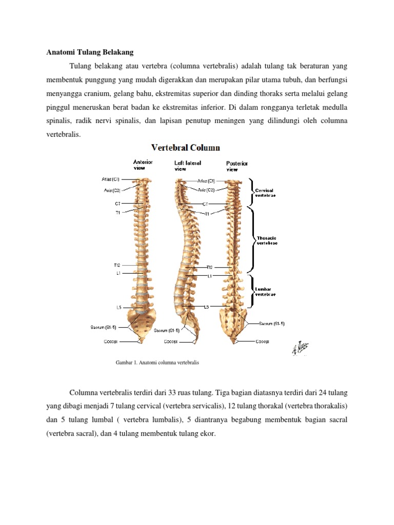 Spondilitis TB | PDF