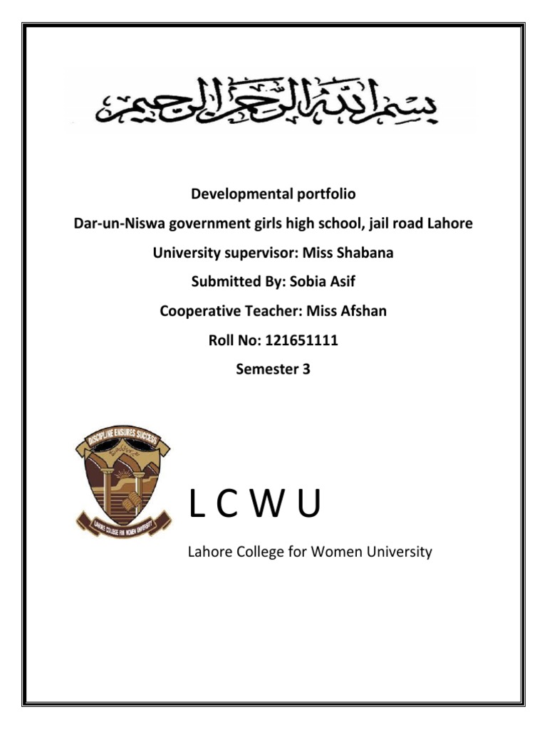 Developmental Portfolio | PDF