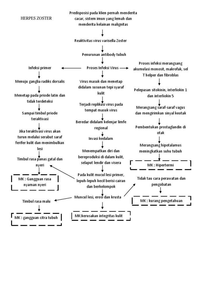 Pathway Herpes Zoster | PDF