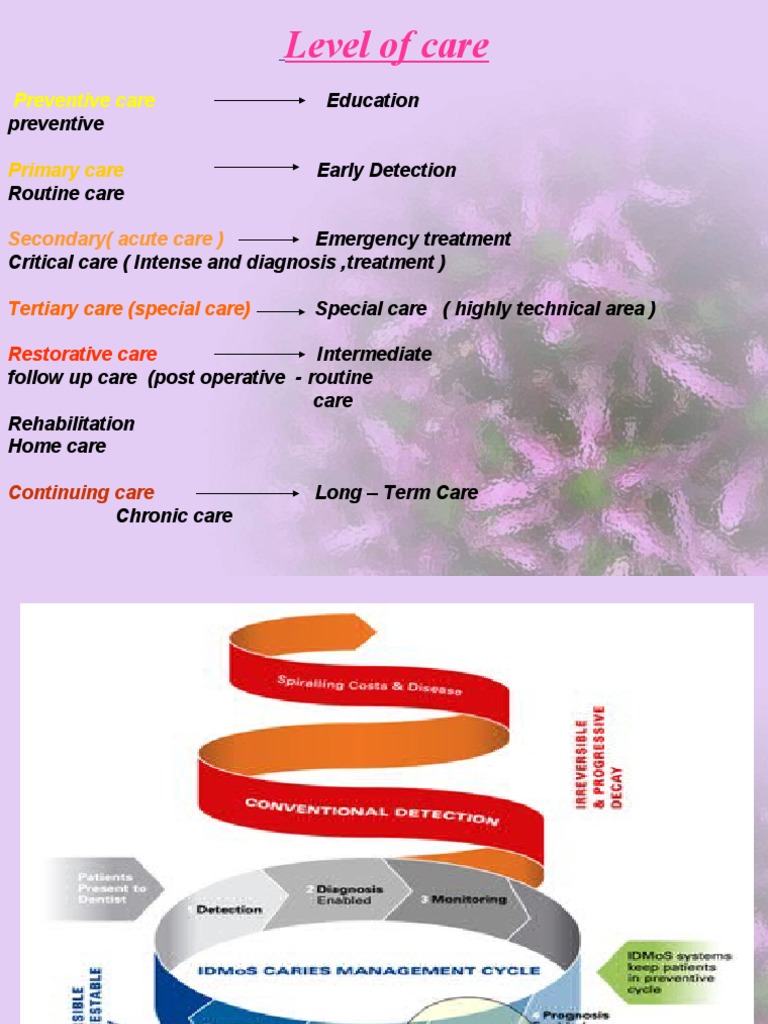 Overview of Health Care Delivery Systems | PDF | Health Care ...