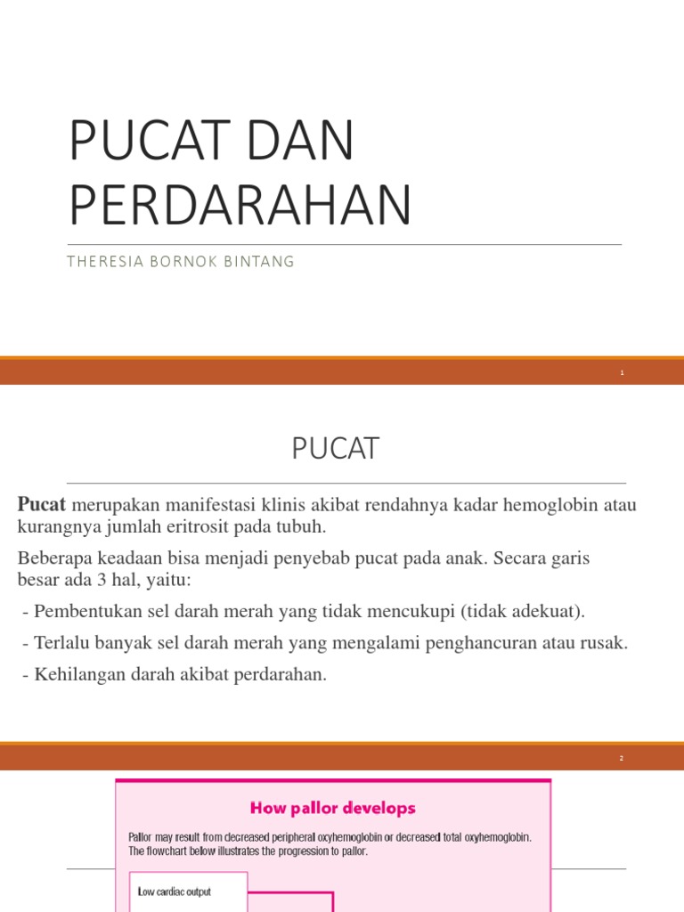 Pucat Dan Perdarahan | PDF | Kesehatan Holistik