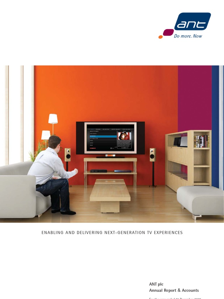 Ant Report Accounts 2009 | PDF | Internal Control | Set Top Box