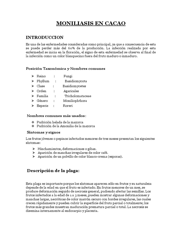 Moniliasis del Cacao: Síntomas y Control | PDF | Enfermedades de las ...