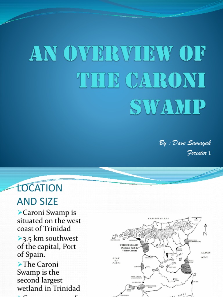 An Overview of The Caroni Swamp | PDF | Ecology | Habitat