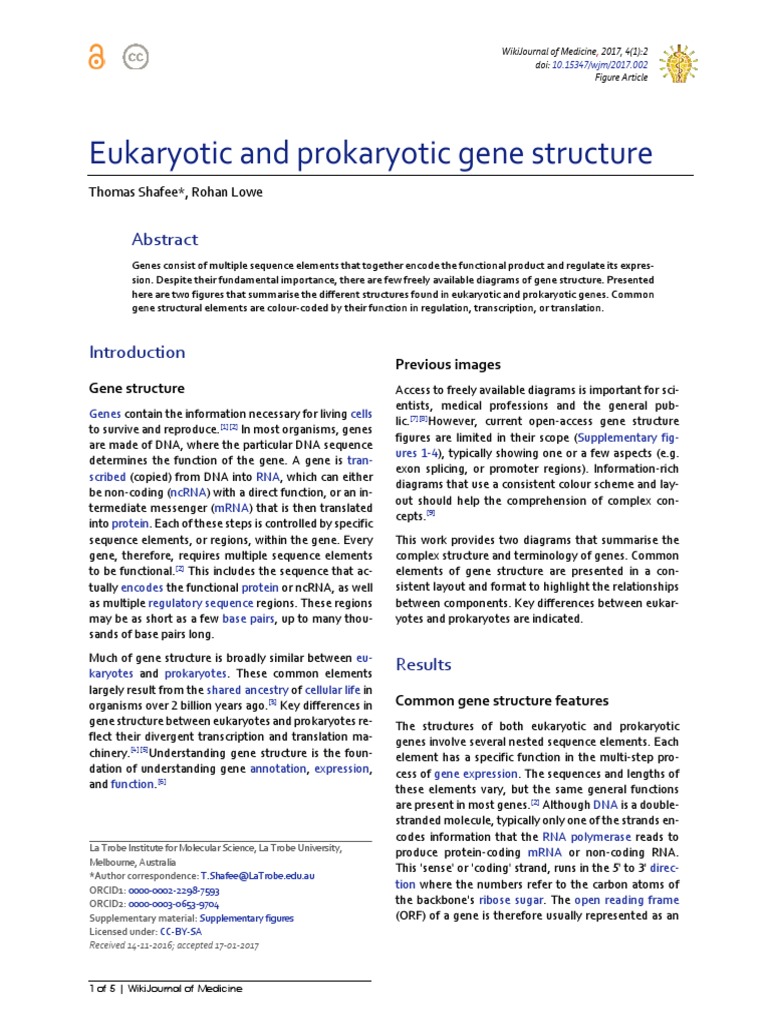 Eukaryotic And Prokaryotic Gene Structure – WDXO