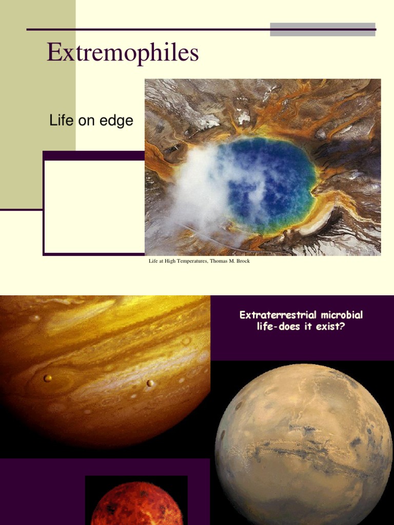 Extremophiles: Life On Edge | Download Free PDF | Osmosis | Enzyme