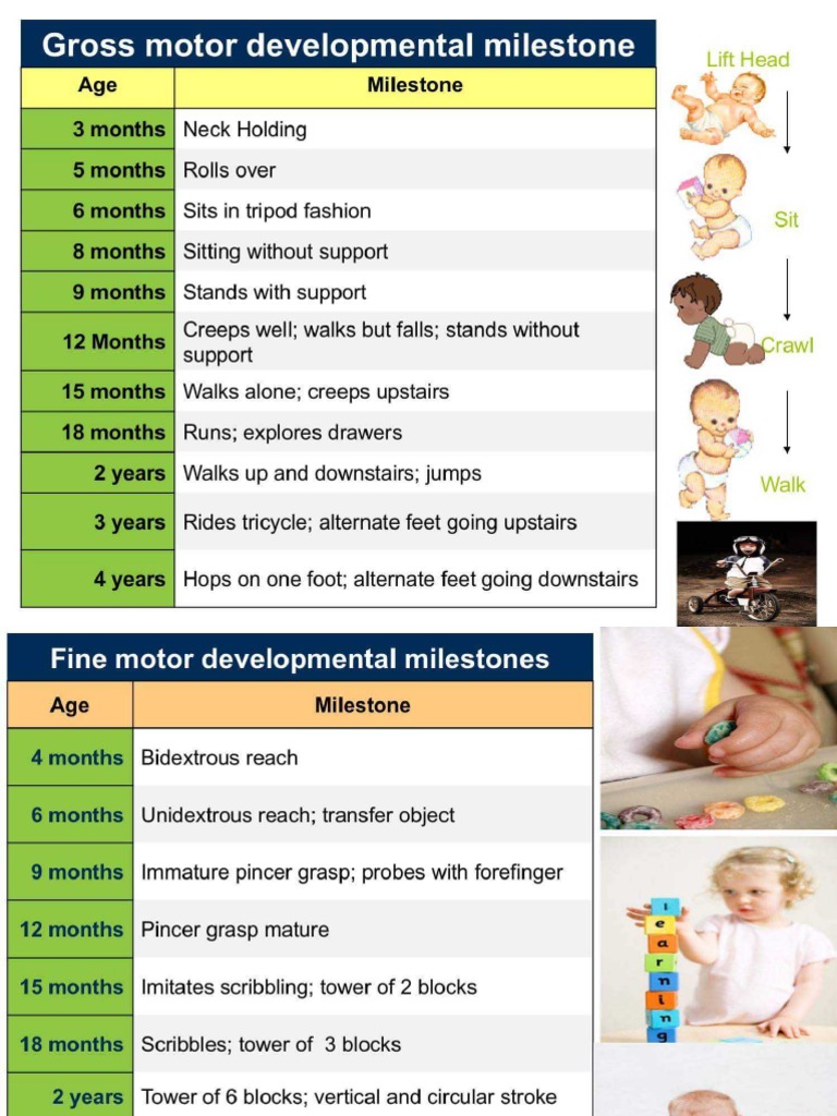 Developmental Milestones | PDF