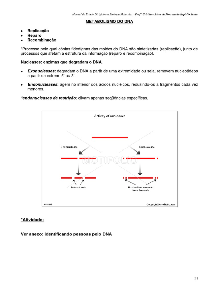 Manual Biomol | PDF | Replicação de DNA | Transcriptase Reversa