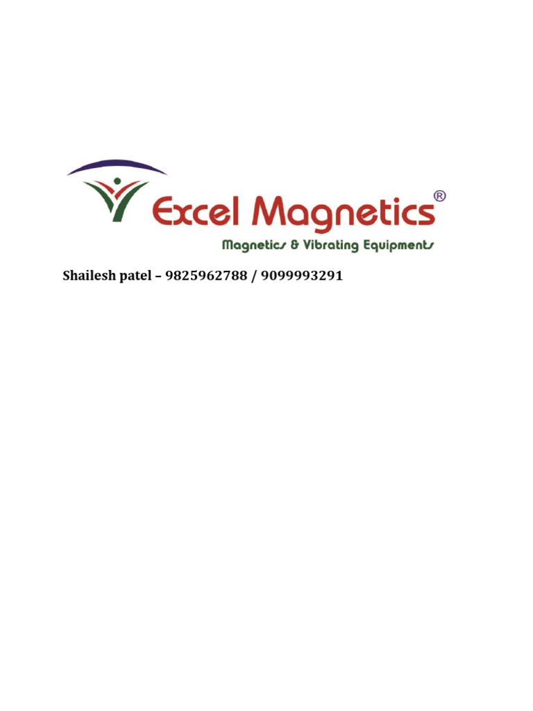Excel Logo Shailesh Patel | PDF