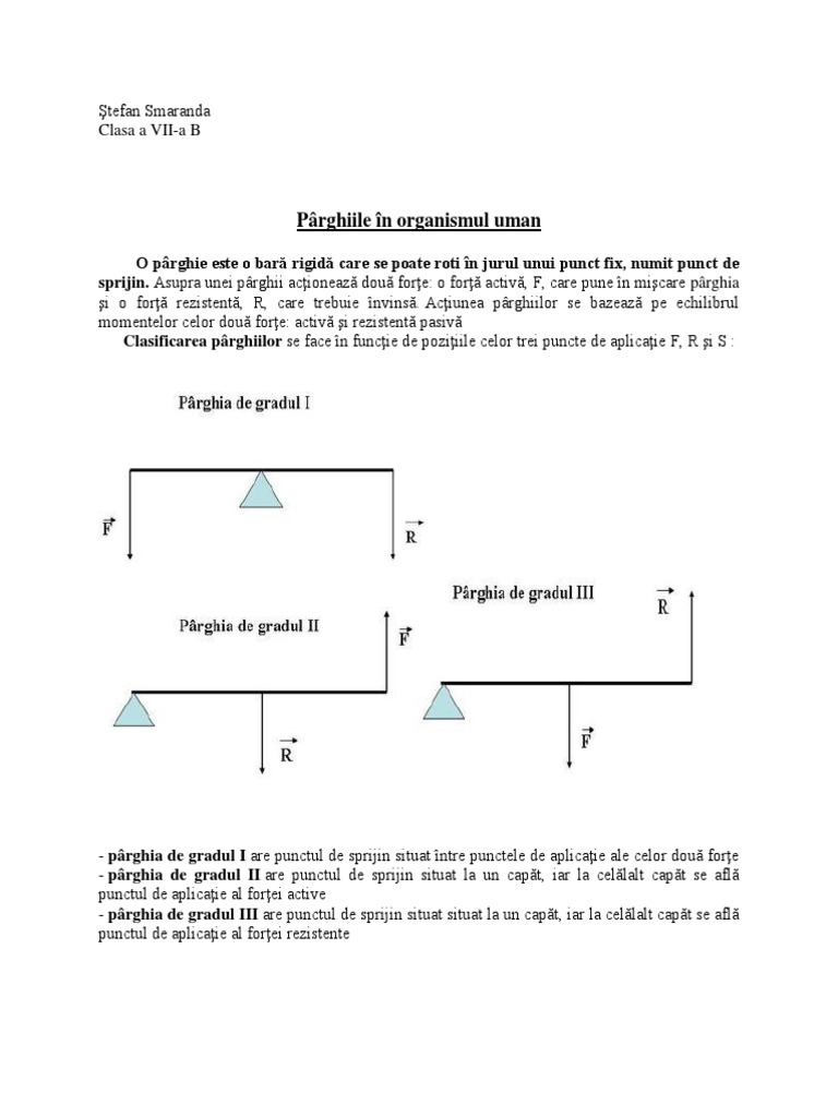 Pârghii În Organismul Uman