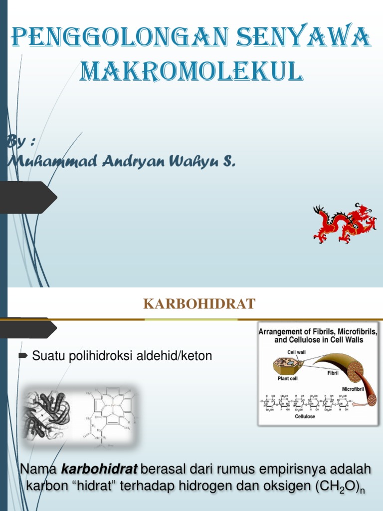 Penggolongan Senyawa Makromolekul | PDF