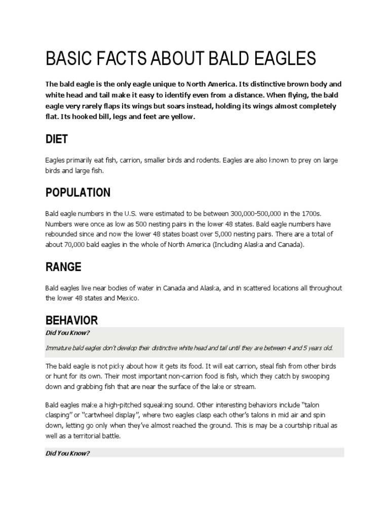 Basic Facts About Bald Eagles | PDF