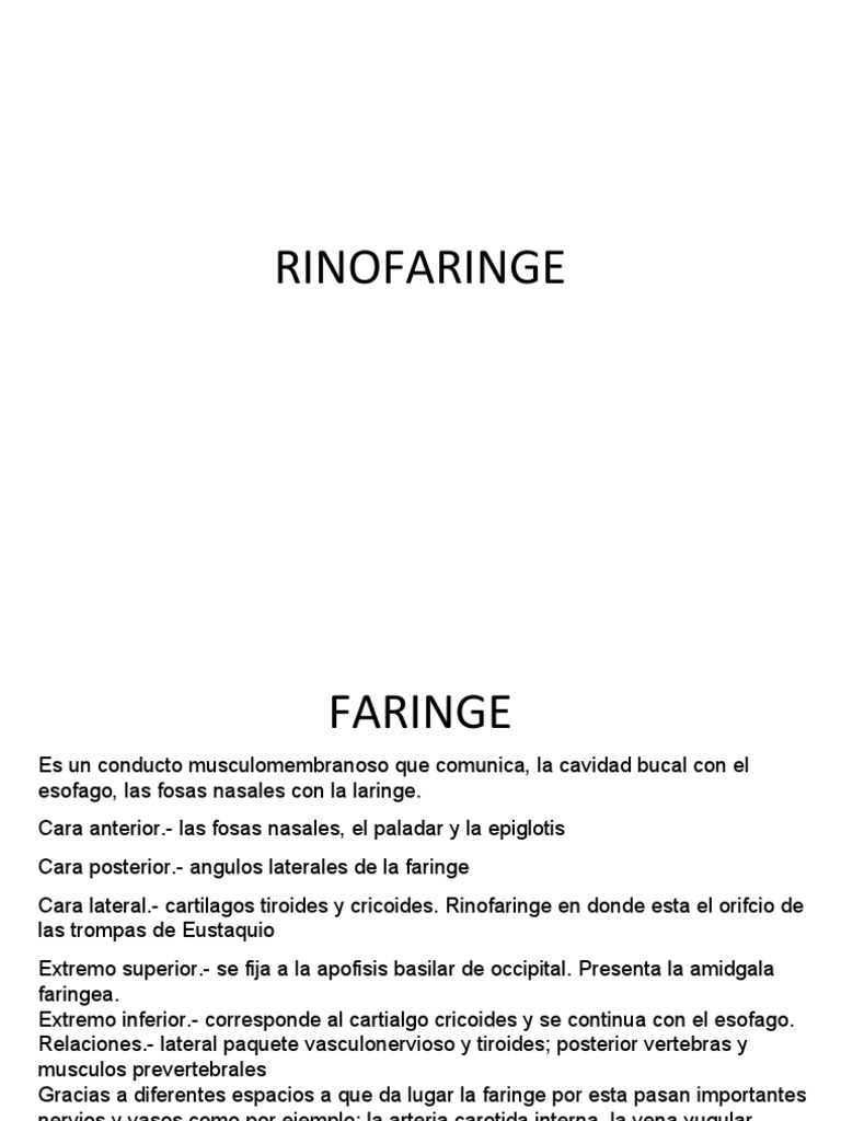 RINOFARINGE | PDF | Laringe | Sistema esquelético