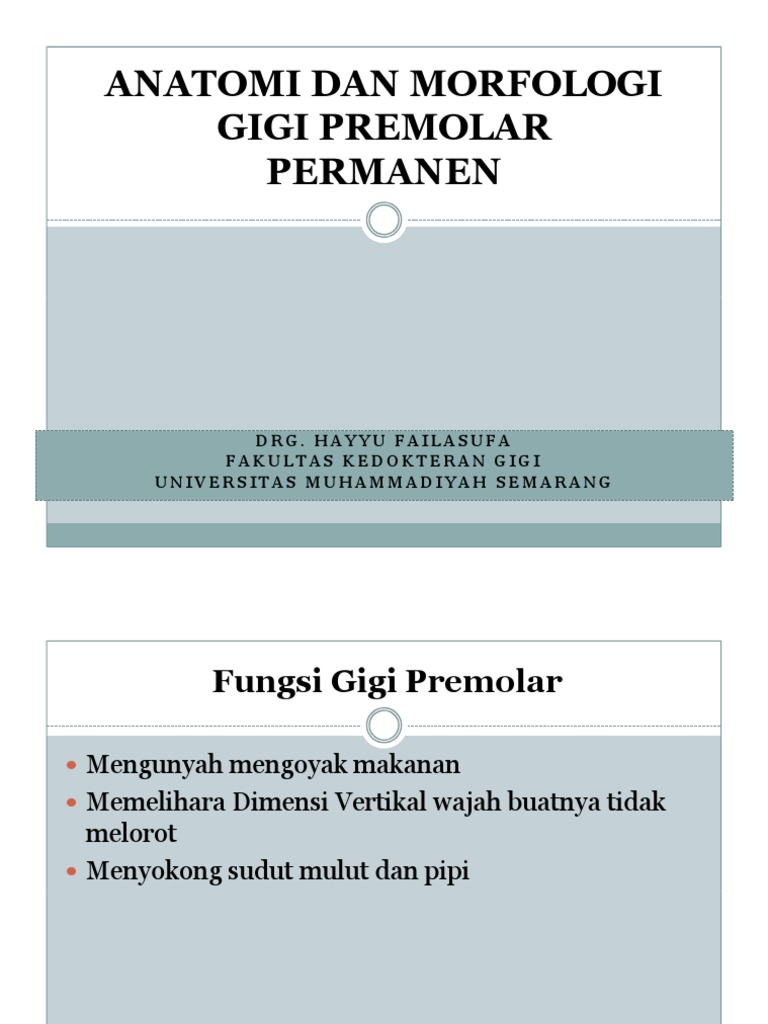 Anatomi & Morfologi Gigi Premolar | PDF