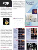 Human vs Fish Circulatory Systems | PDF | Circulatory System | Heart