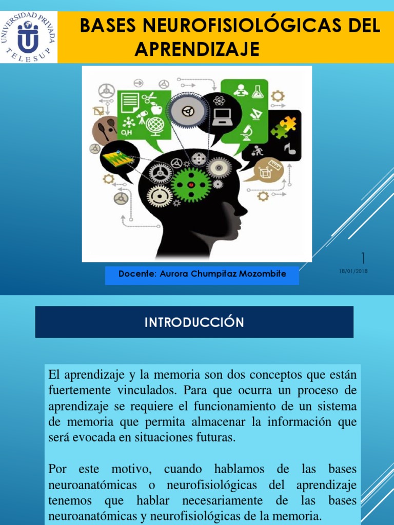 APRENDIZAJE | Descargar gratis PDF | Memoria | Percepción