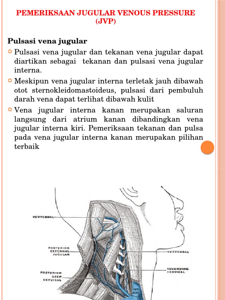 Pemeriksaan dan Pengukuran JVP | PDF