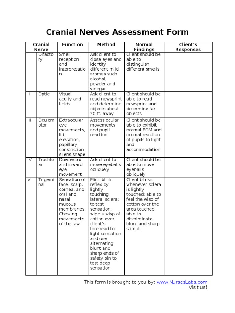 Cranial Nerves Assessment Form | Human Eye | Taste