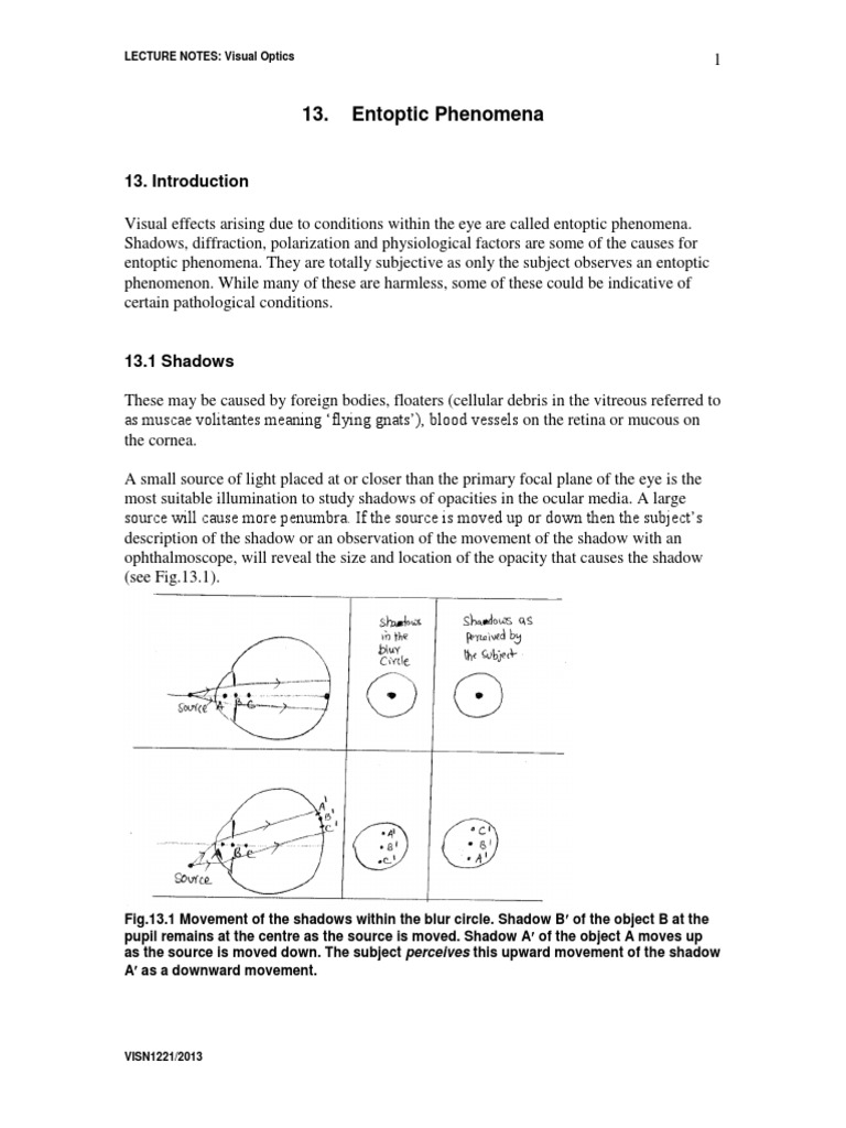 Understanding Entoptic Phenomena | PDF | Human Eye | Retina