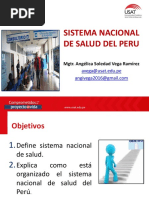 Organización y Funciones de IPRESS | PDF | Hospital | Sistema de salud