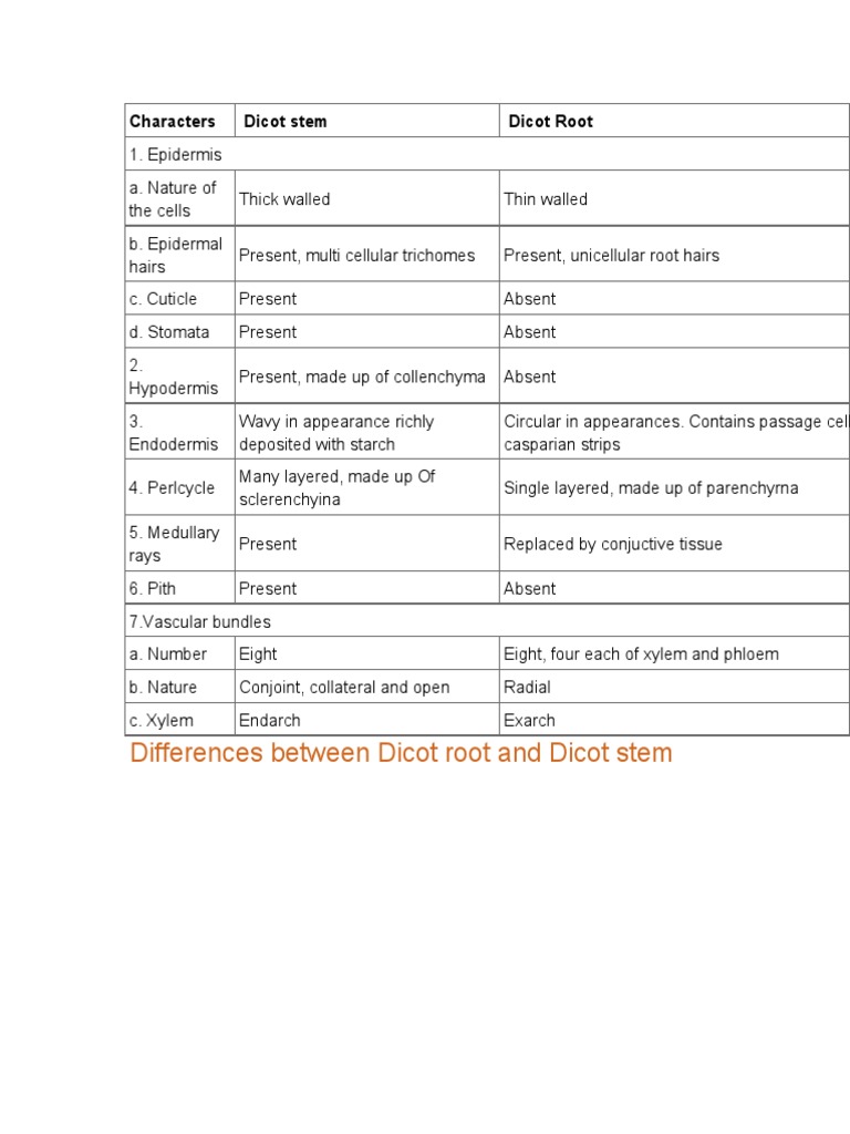 Differences Between Roots and Stems | PDF | Plant Stem | Tissue (Biology)