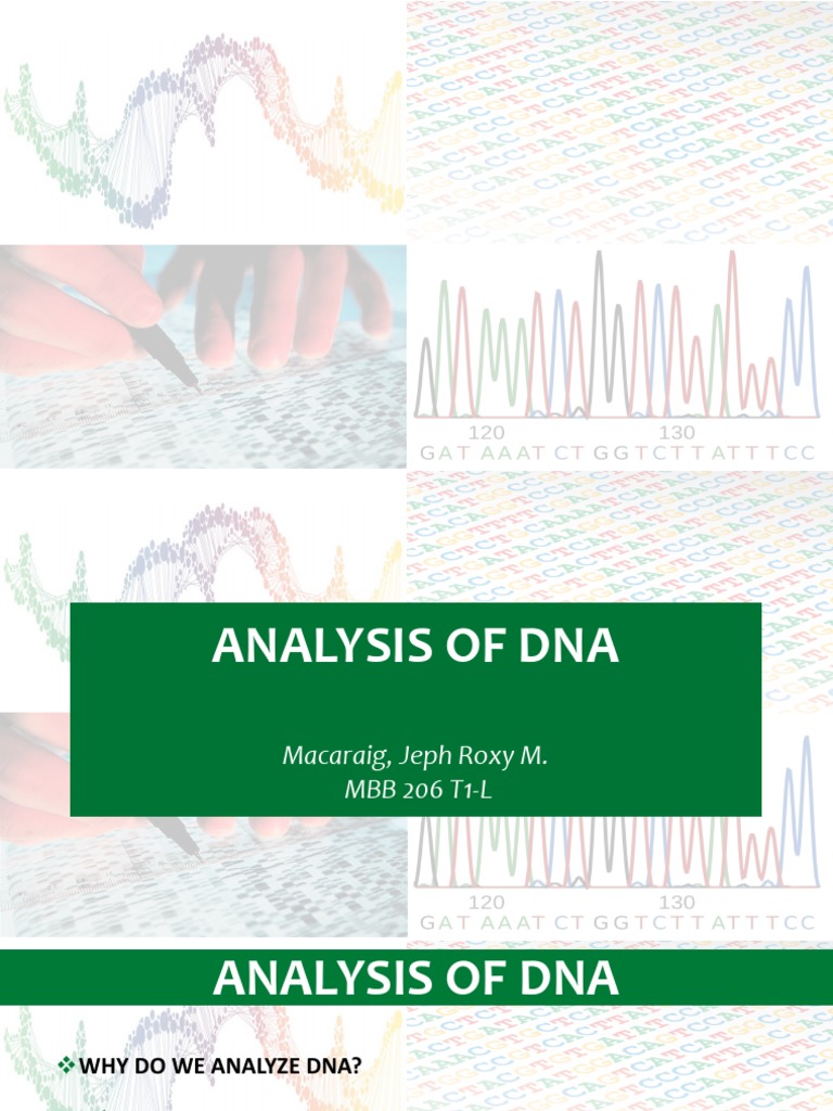 Dna Analysis | PDF | Gel Electrophoresis | Dna Sequencing