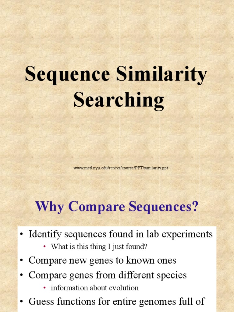 Sequence Similarity Searching: WWW - Med.nyu - edu/rcr/rcr/course/PPT ...