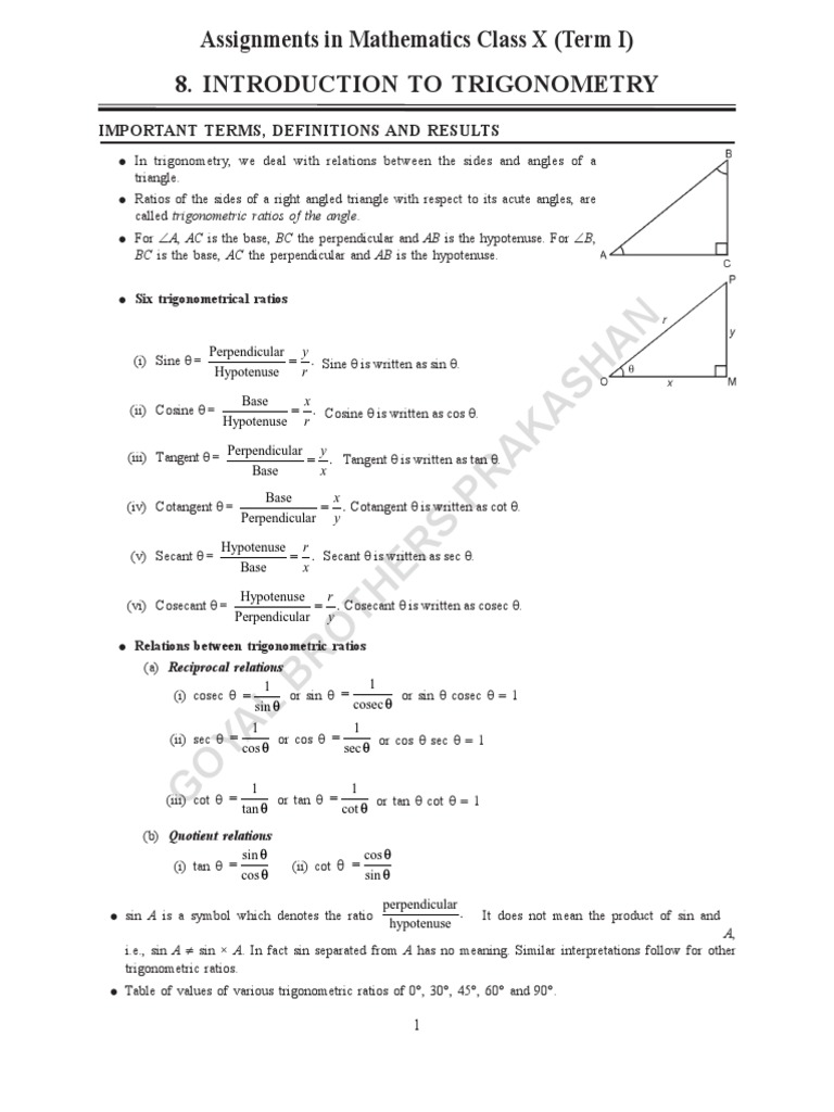 10 Trig Maths | PDF | Trigonometry | Trigonometric Functions