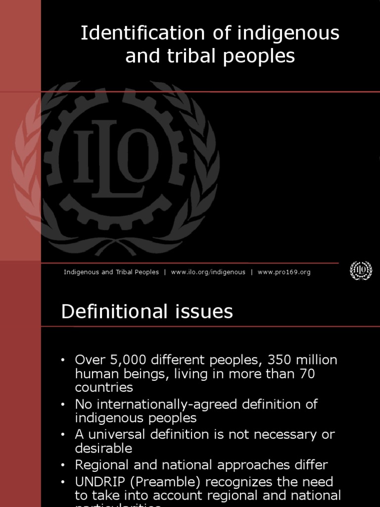 Identification of Indigenous Peoples | PDF | Indigenous Peoples ...