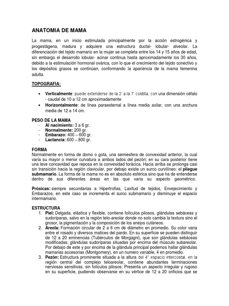 Anatomía de la Mama: Estructura y Función | PDF | Pecho | Anatomía humana