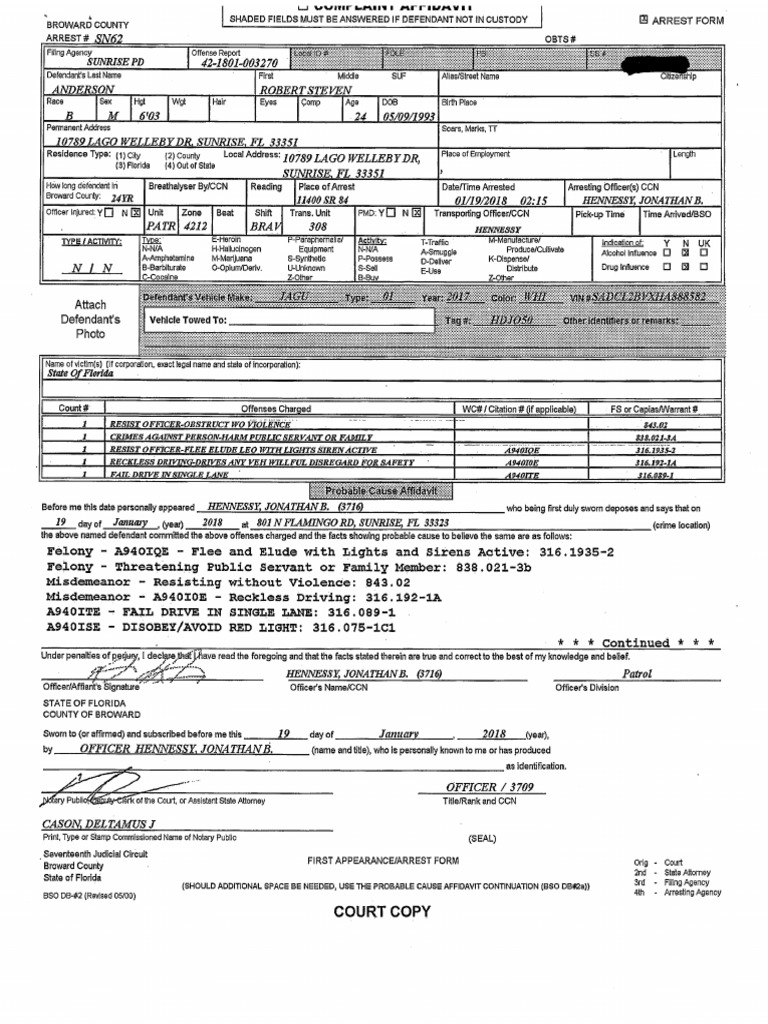 Robby Anderson Arrest Report | PDF