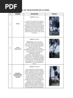 Bingo de Plantas Fotos | PDF