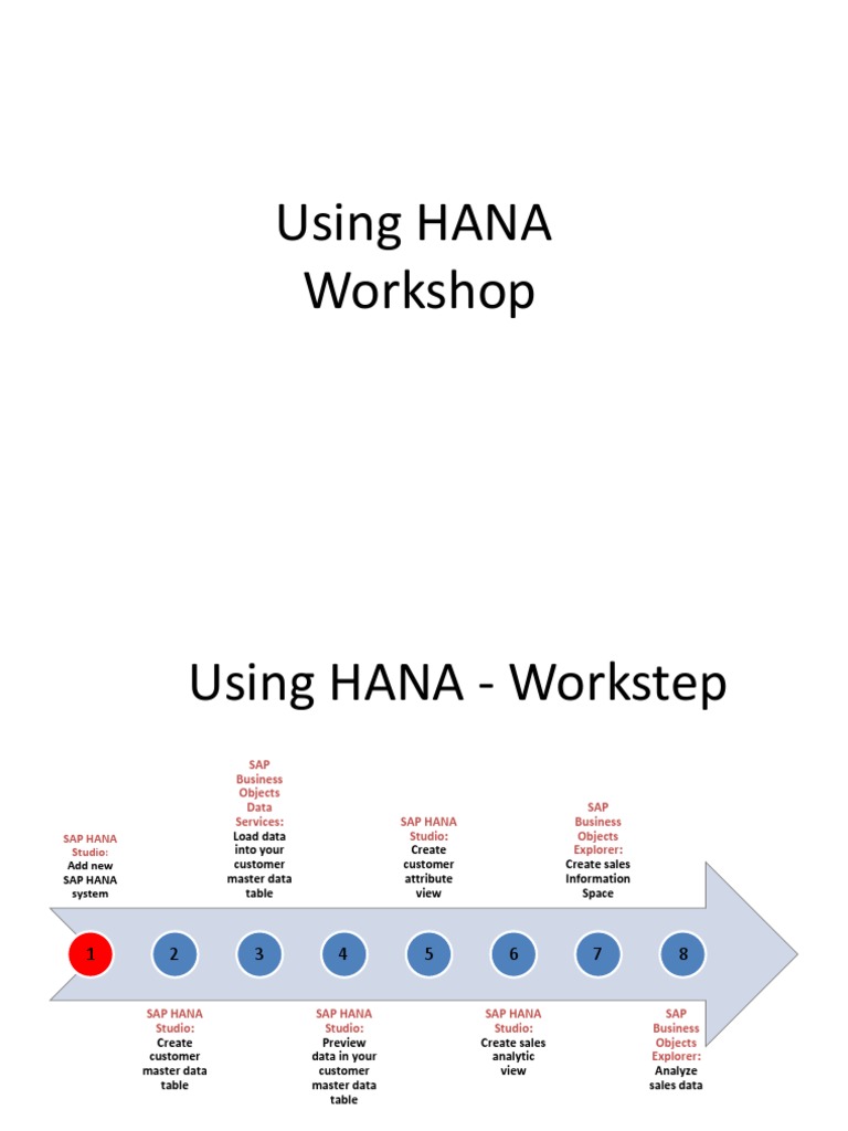 HANA Overview | PDF | Sap Se | Analytics