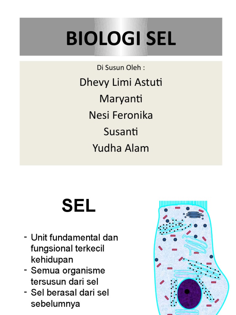 Tugas KLP 1 Biologi Sel | PDF