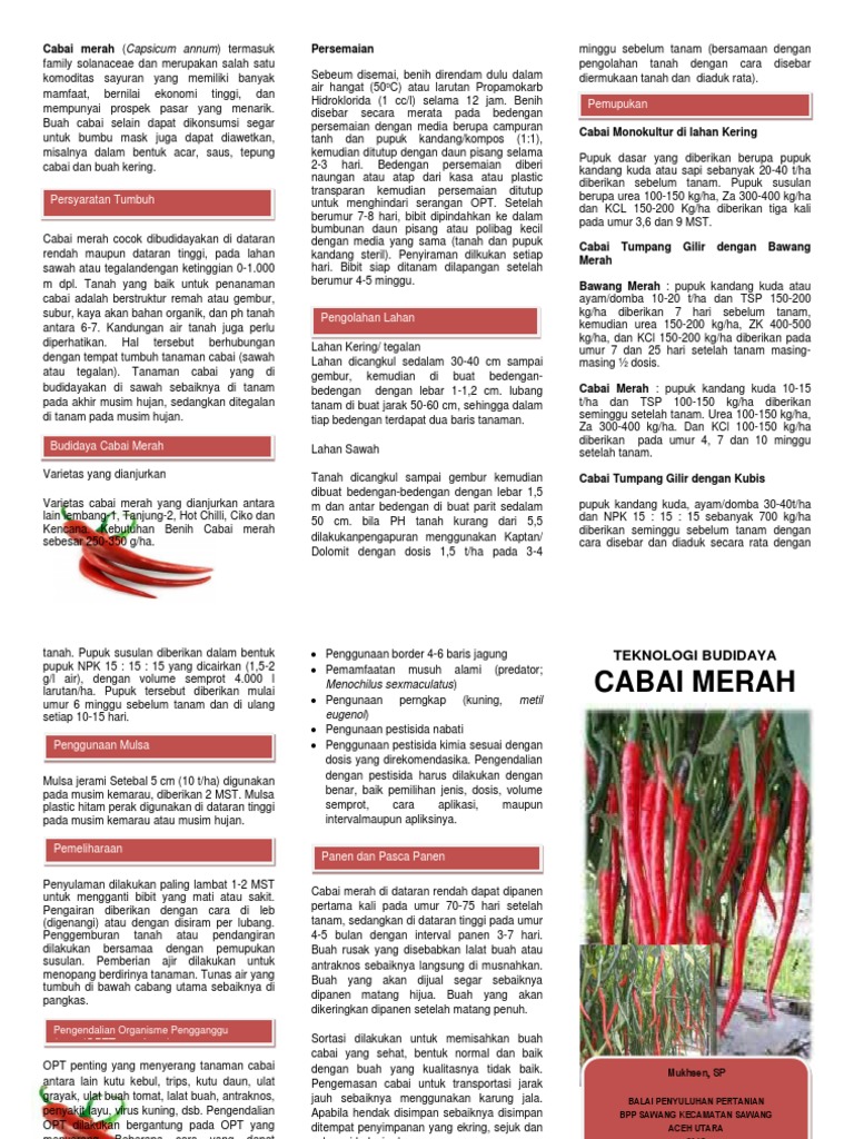 Cabai Merah | PDF | Griya & Taman | Sains & Matematika
