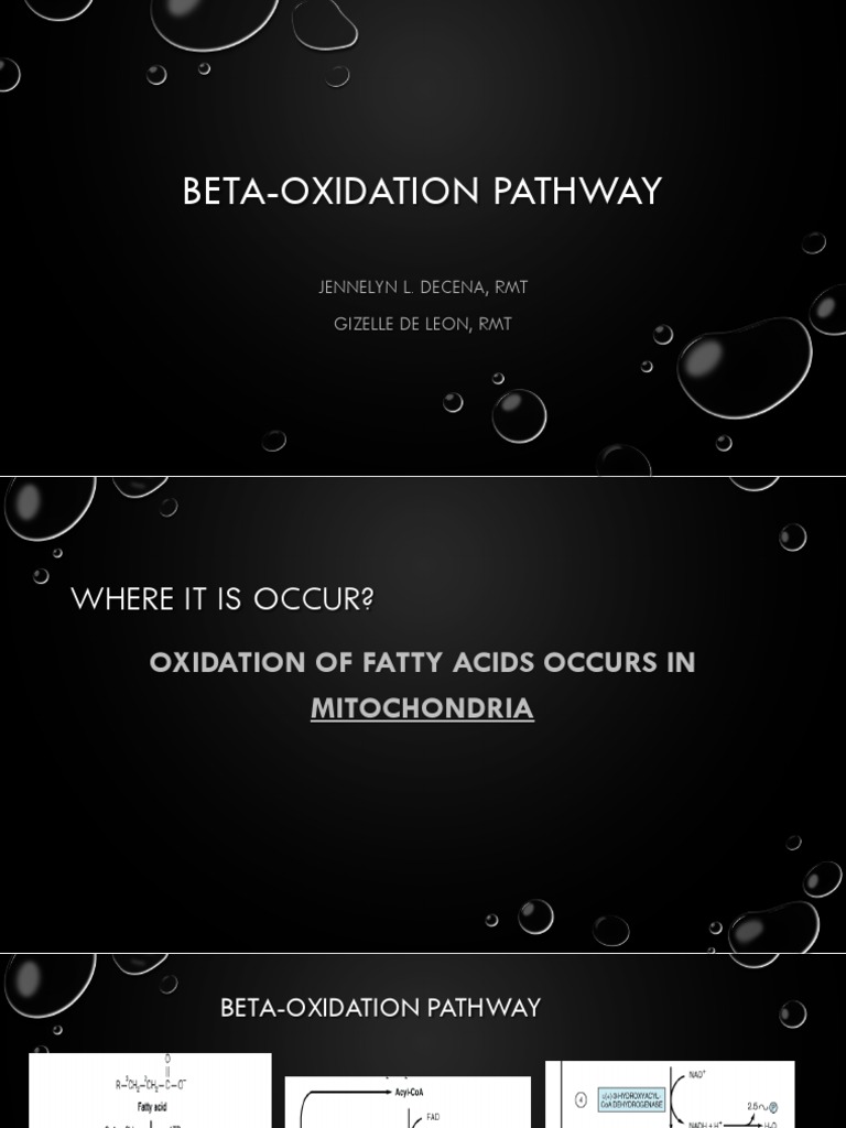Beta Oxidation Pathway | PDF