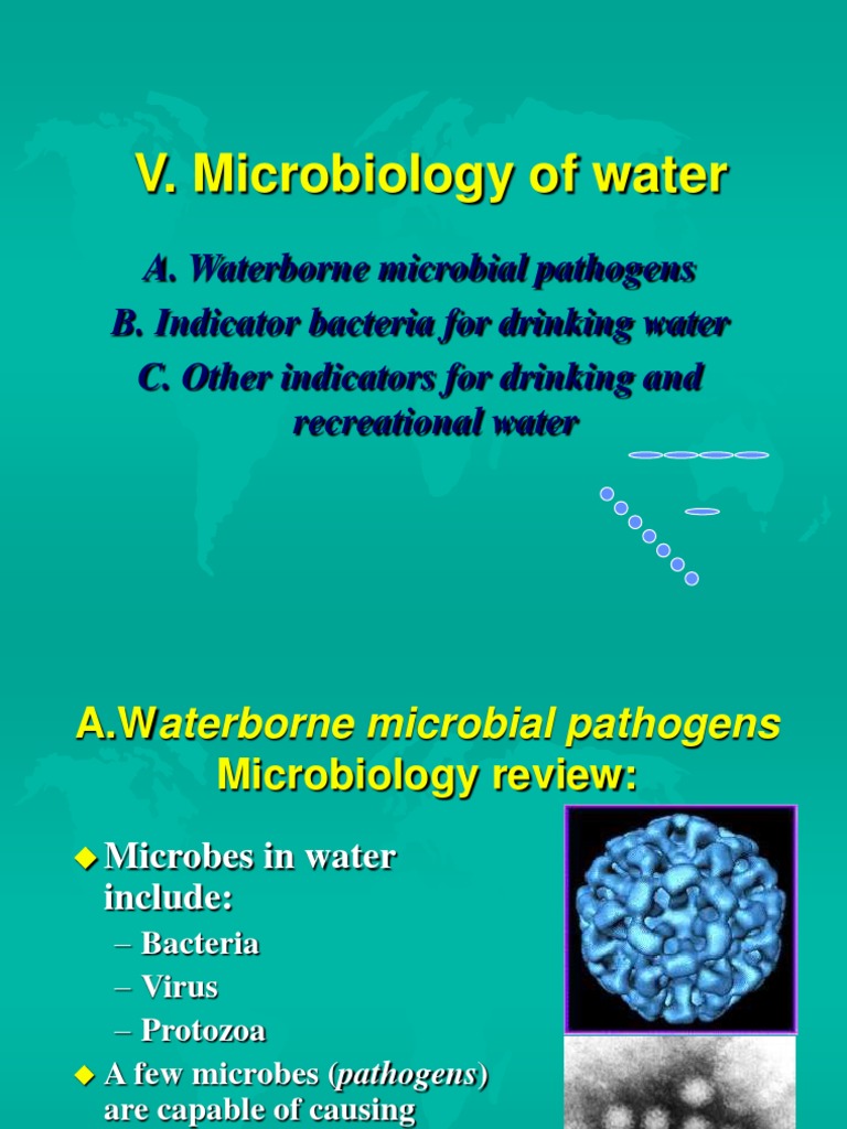 Water Microbiology | PDF | Pathogen | Clinical Pathology