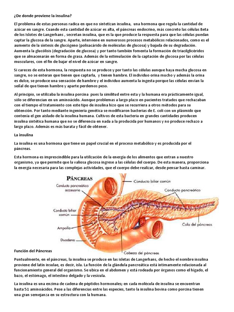 Origen y Función de la Insulina | PDF | Insulina | Hipertensión
