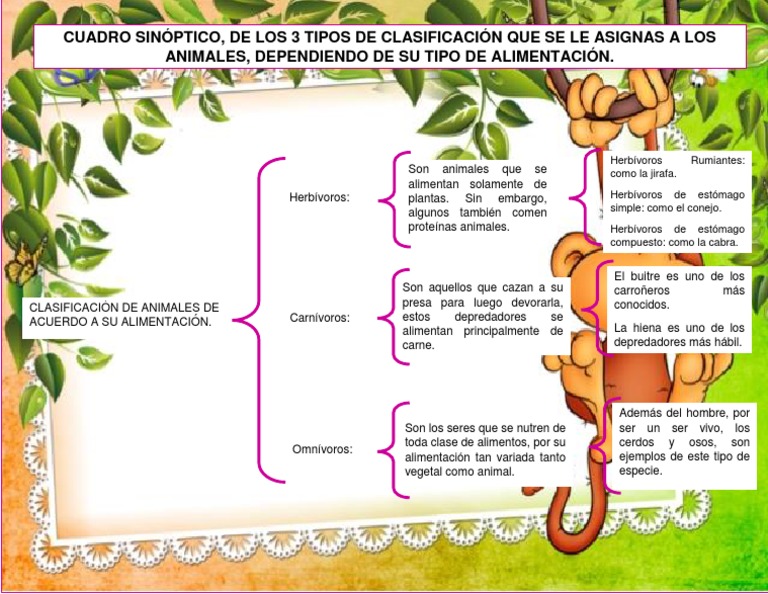 Cuadro Sinoptico De Los Animales