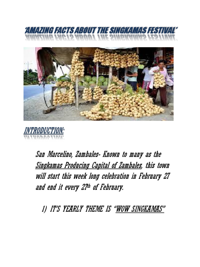 Amazing Facts About the Singkamas Festival