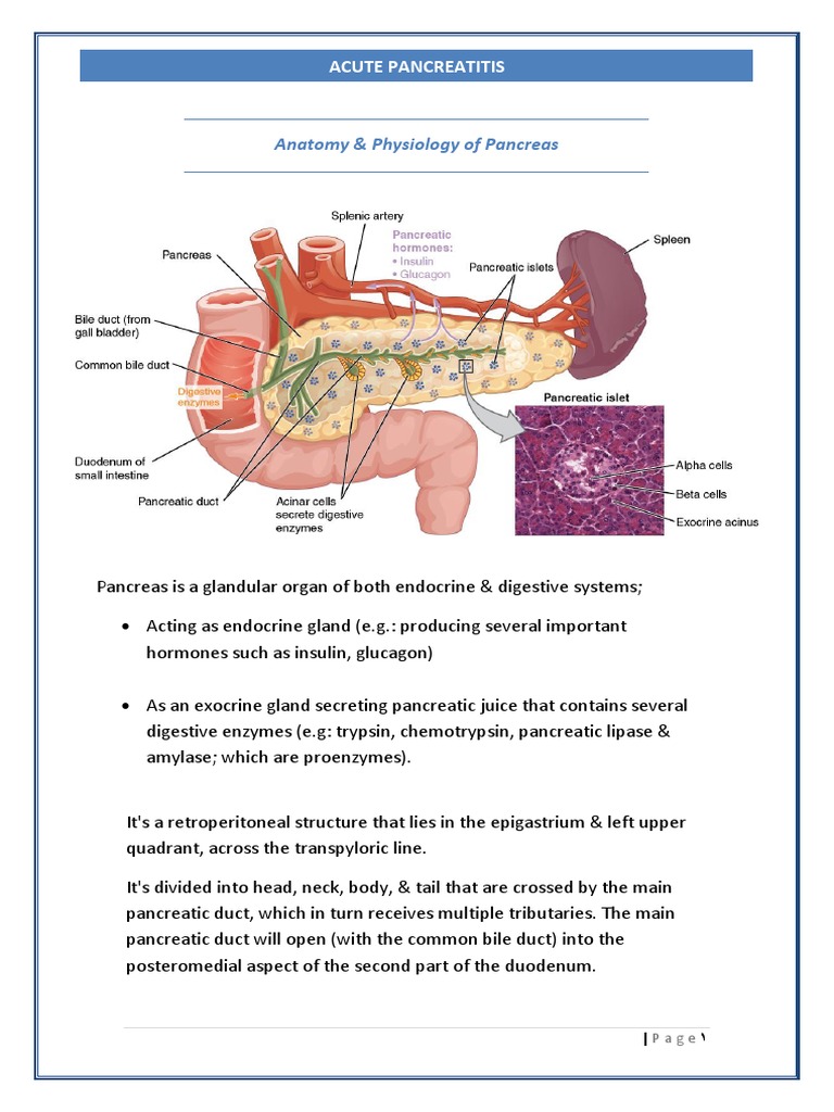 Anatomy & Physiology of Pancreas: Acute Pancreatitis | PDF | Pancreas ...