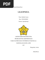 Klasifikasi Dan Morfologi Bunga Mawar | PDF | Griya & Taman