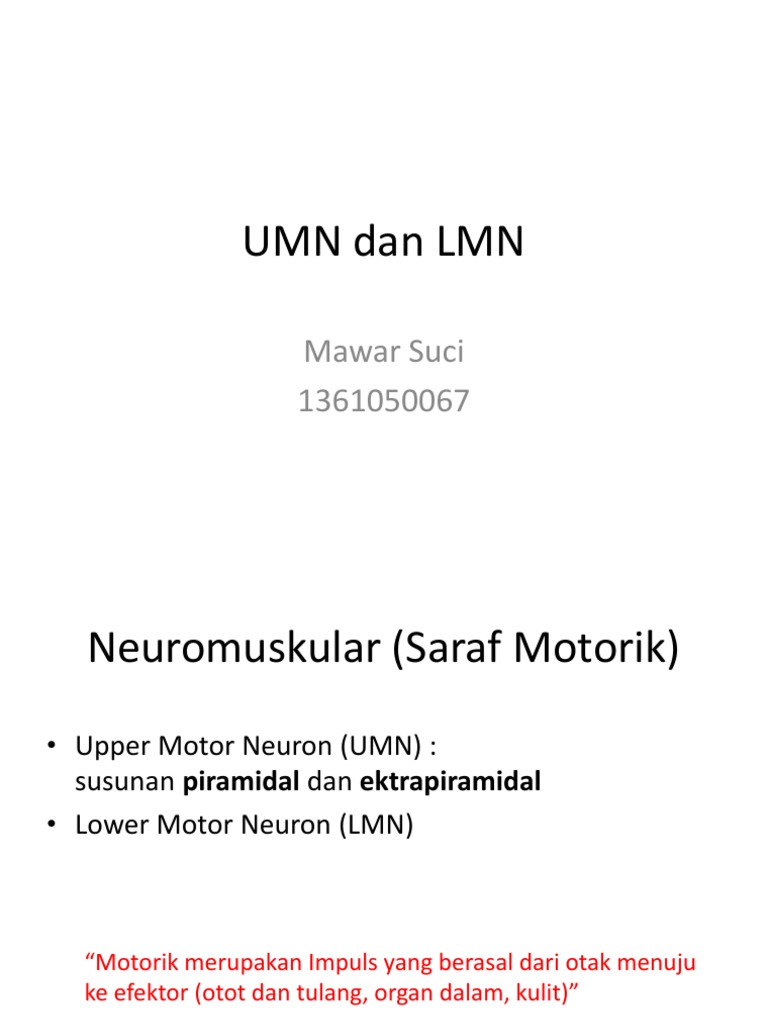 UMN Dan LMN | PDF