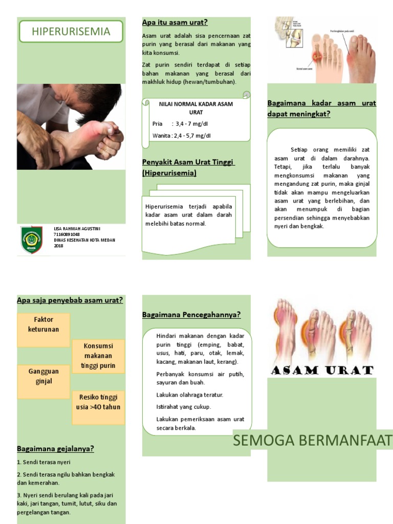 Hiperurisemia Fix | PDF