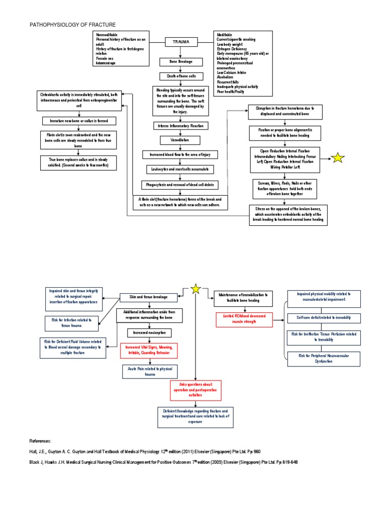 Pathophysiology of Fracture | PDF | Bone | Major Trauma