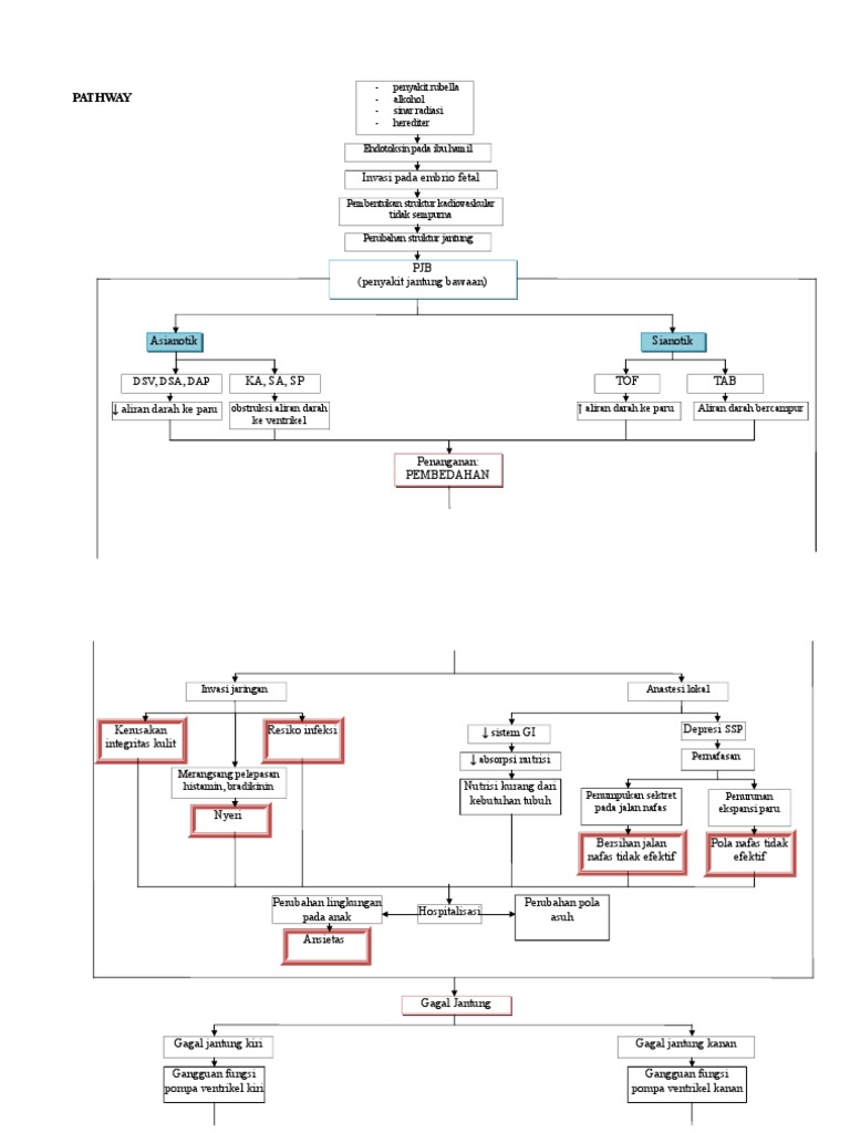 Pathway Penyakit Jantung Bawaan Anak | PDF