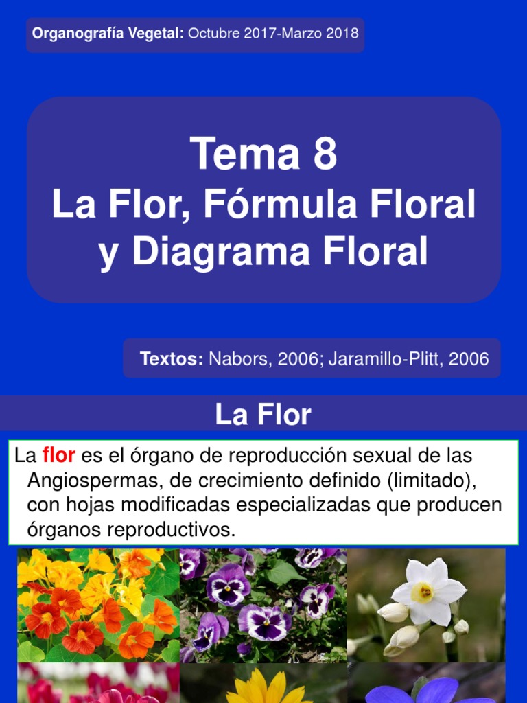 Flor-Fórmula y Diagrama Floral | Flores | Morfología Vegetal